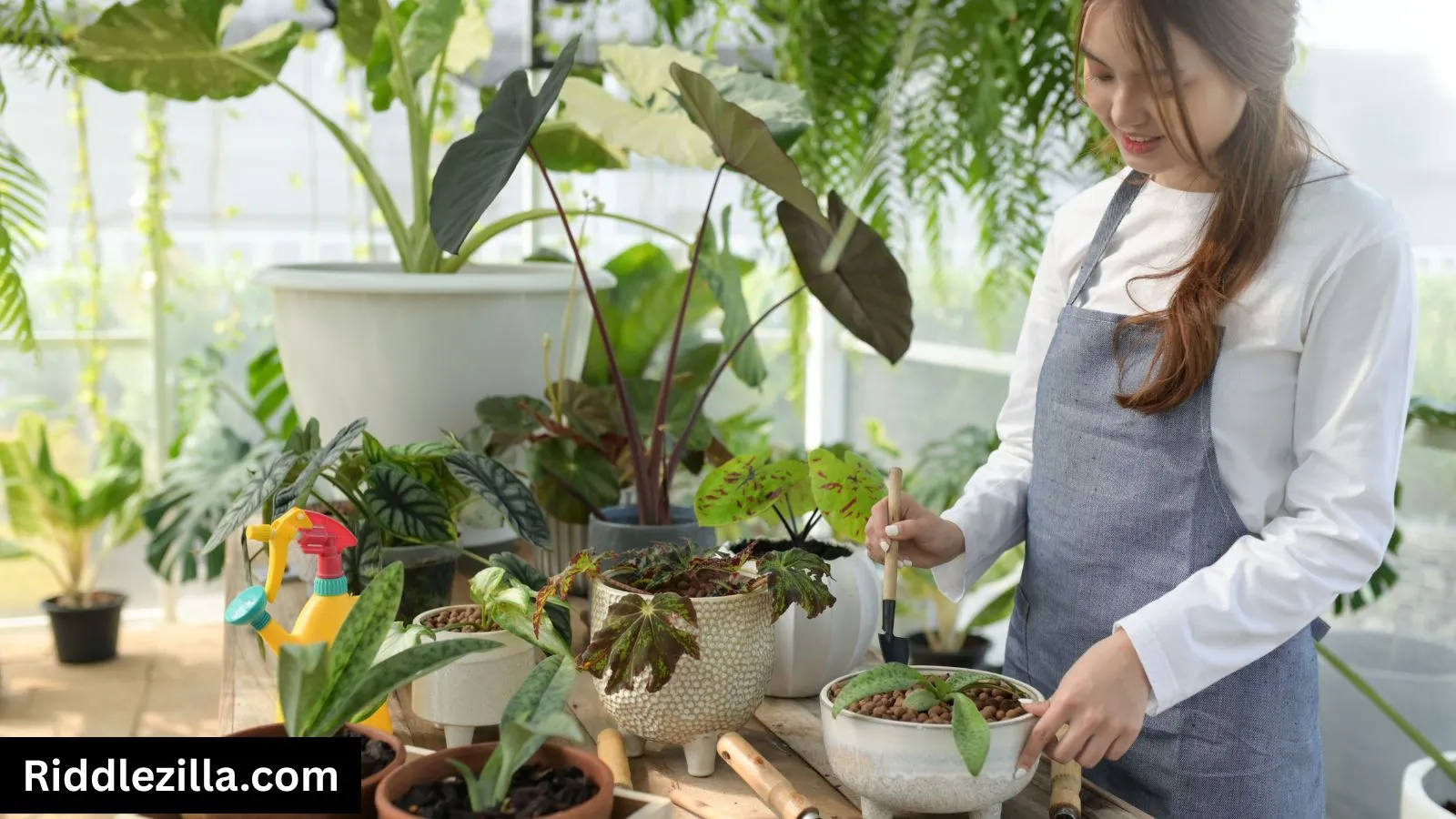 870+ Trending Riddles for Plants to Spark Green Fun 2025